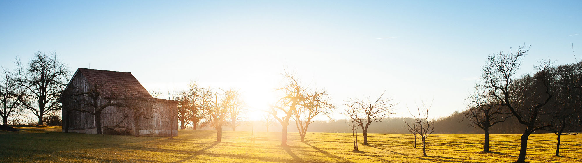 Compass Financial Planning